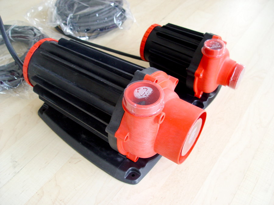 Royal Exclusiv Red Dragon II in the wild | Reef Builders | The Reef and ...