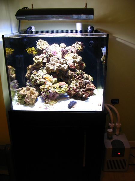 Modern Aquarium design for reef aquaria and freshwater | Reef Builders ...