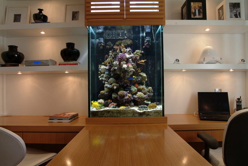 Modern Aquarium design for reef aquaria and freshwater | Reef Builders ...