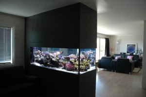 Modern Aquarium design for reef aquaria and freshwater | Reef Builders ...