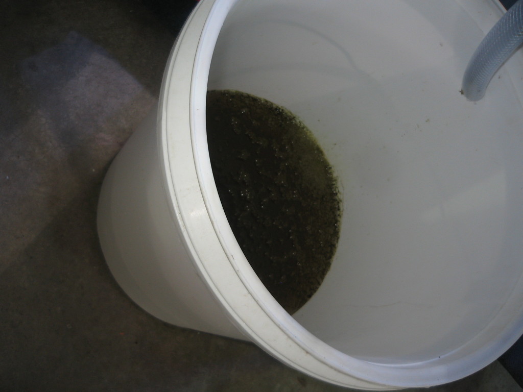 ATB XXL protein skimmer in action, enough nasty skimmate to go around ...