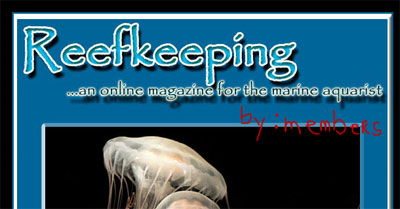 Reefkeeping Magazine switched to user generated articles, professional ...