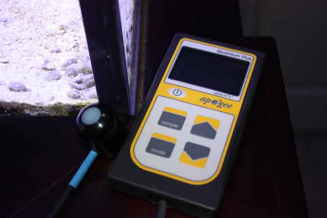 Apogee Quantum Par meter hands on | Reef Builders | The Reef and ...