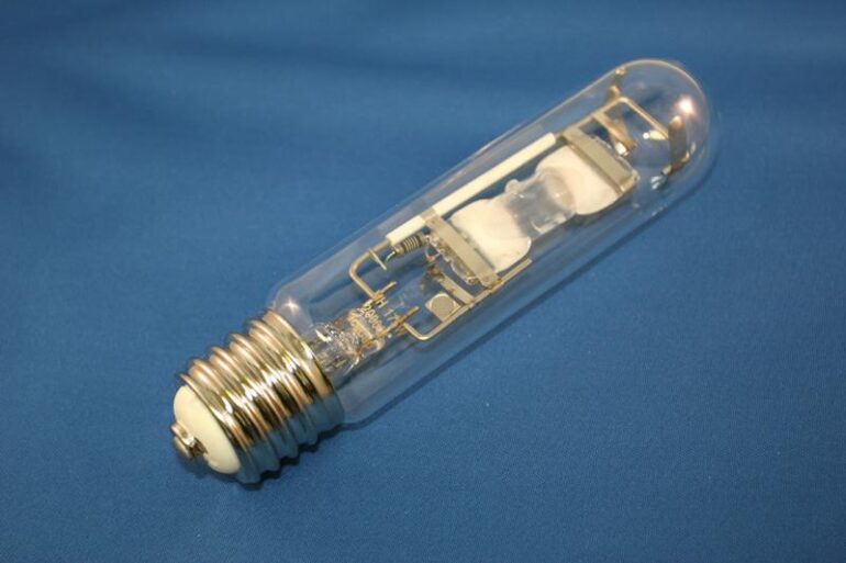 IceCap’s Anthony Calfo bulb specs leak out, prices | Reef Builders ...