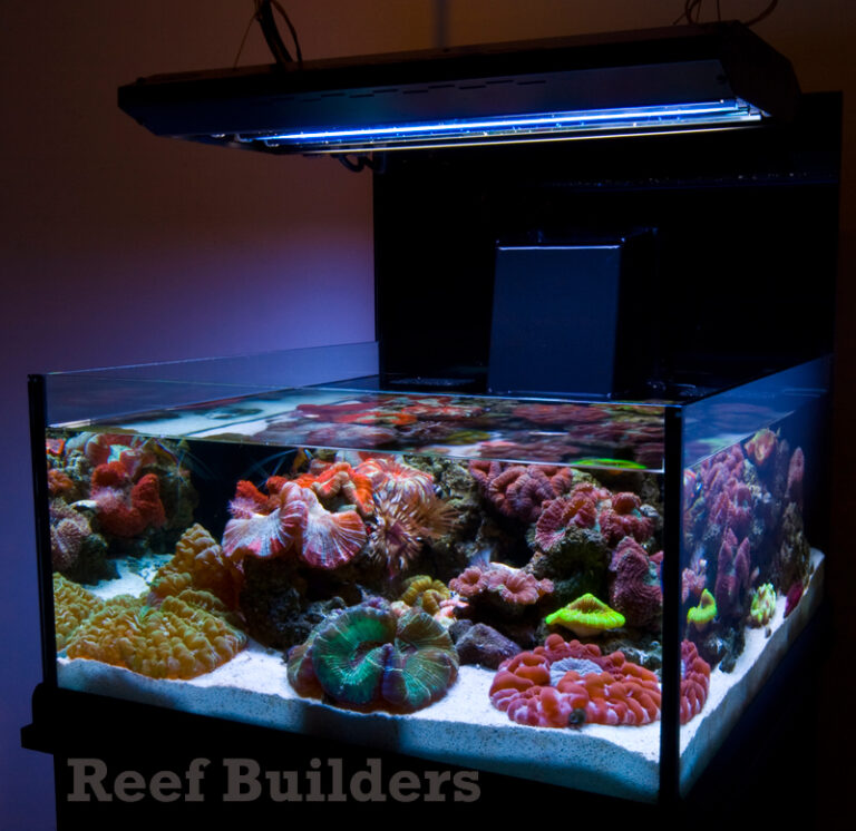 Neo Nano from Deepsea Aquatics introduces some welcome innovations ...