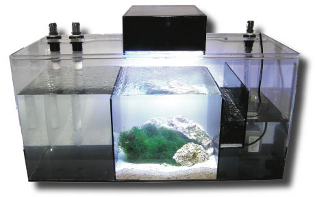 Aquatic Design Habitats Inc. makes an affordable and practical refugium ...