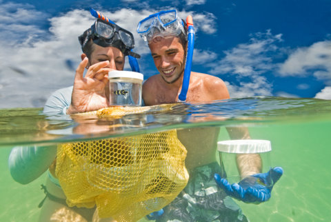 Aquatic Pixels by Matt Wittenrich: creative reef life photography ...