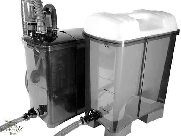 Tom Rapids Pro Series Rp3 With Auto top off System | Reef Builders ...