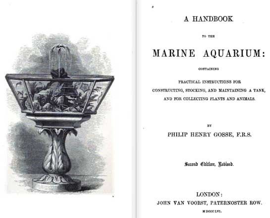 A Handbook to the Marine Aquarium 1856 | Reef Builders | The Reef and ...