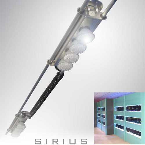 Sirius LED lighting from Sfiligoi in Italy | Reef Builders | The Reef ...