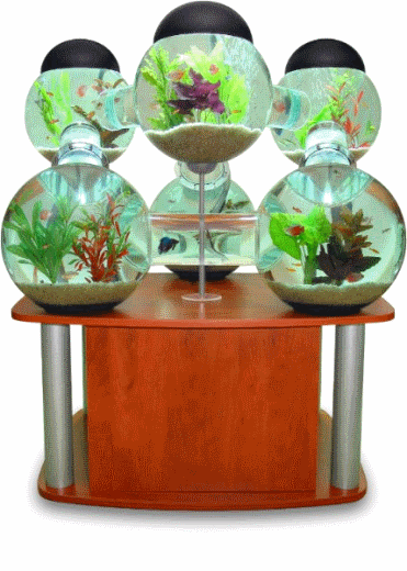Got money to spare? $6,500 gets you a crazy labyrinth aquarium | Reef ...
