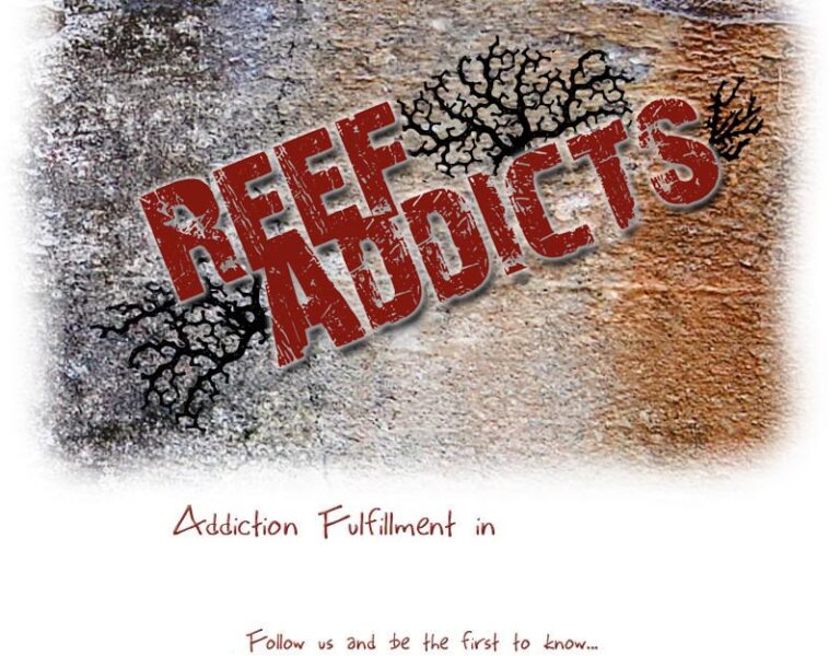 Reef Addicts is a new reef community launching in January | Reef ...