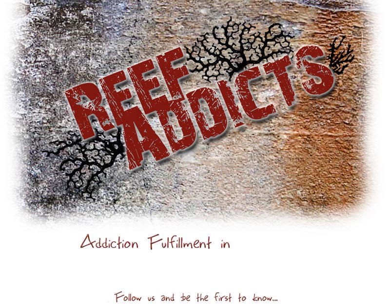 Reef Addicts is a new reef community launching in January | Reef ...