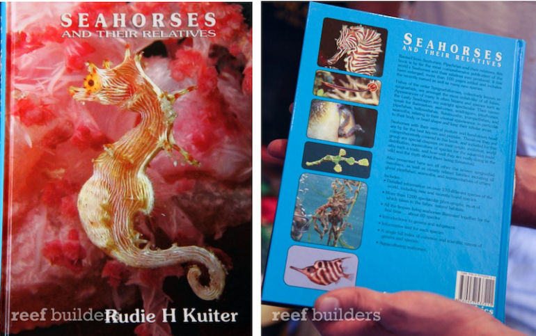 ‘Seahorses and their Relatives’ by Rudie Kuiter is the new Seahorse ...