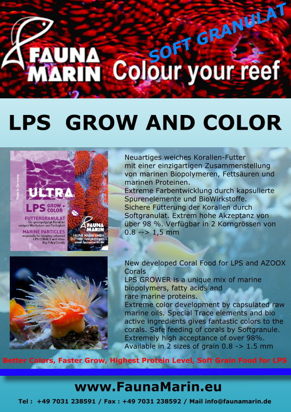 Fauna Marin’s new Ultra LPS Grow + Color | Reef Builders | The Reef and ...