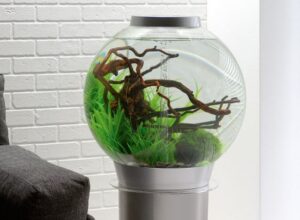 BiOrb 105 takes fish bowls to a grand scale | Reef Builders | The Reef ...