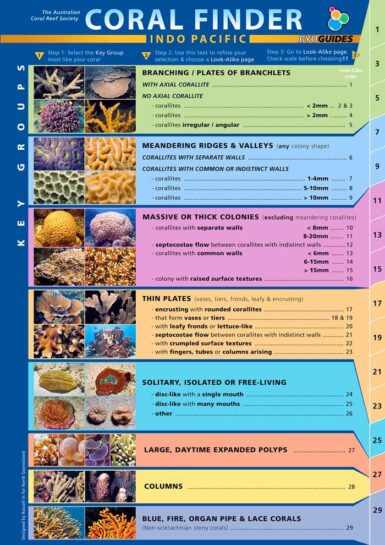 Coral Finder underwater identification guide works well when diving or ...