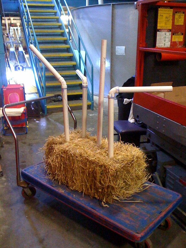 Atlantis Marine World switching some displays over to straw bale sponge ...