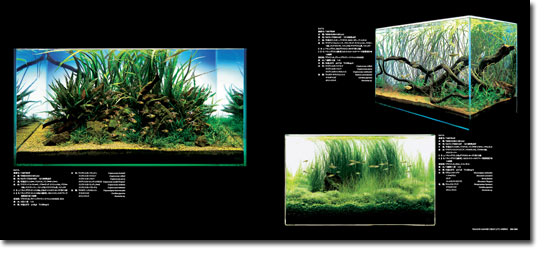 Glass no Naka No Daishizen- the complete aquascape works of Takashi ...