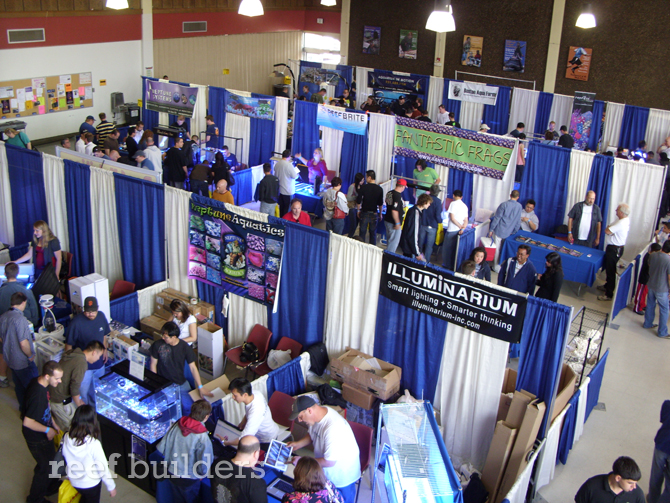 Live from BAYMAC! Reef Aquarium Show | Reef Builders | The Reef and ...