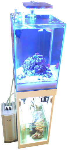 Mame Overflow for nano reef tanks with silencing and siphon recovery | Reef Builders | The Reef ...