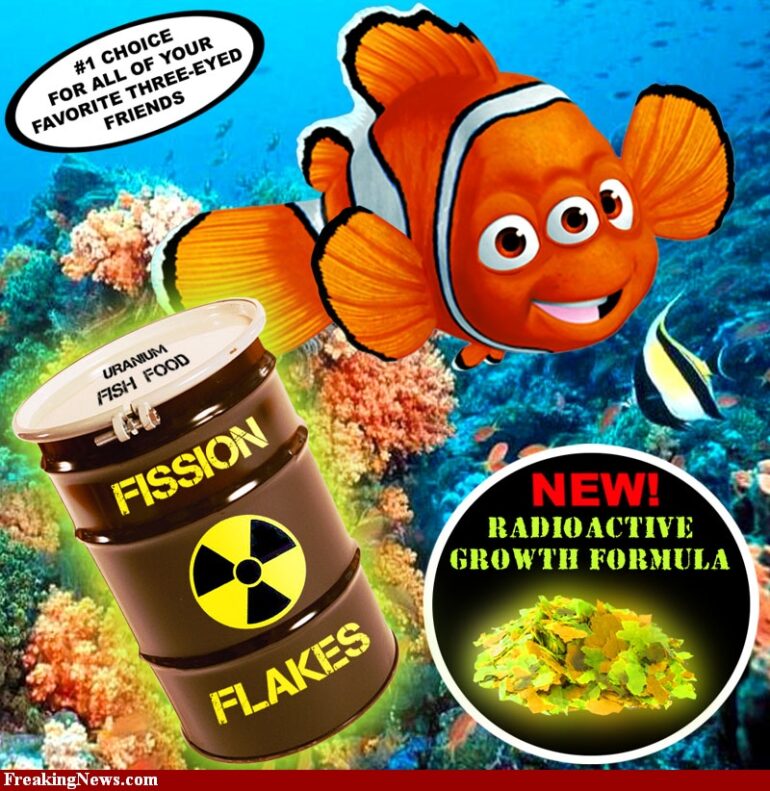 So really, how important is it to feed aquarium fish frequently? | Reef ...