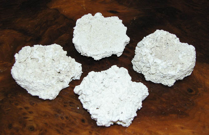 Frag Stones from Lighthouse Aquatics are great for larger frags and LPS ...