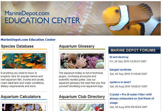 Marine Depot spruces up Education Center | Reef Builders | The Reef and ...