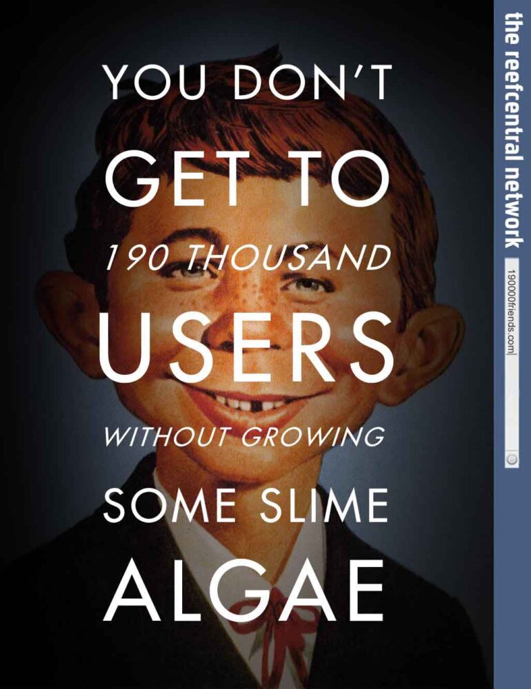 The Reef Central Story | Reef Builders | The Reef and Saltwater ...