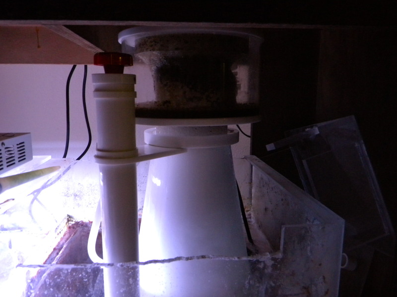 SWC 230 and improved SWC 300A releasing just in time for Winter | Reef ...