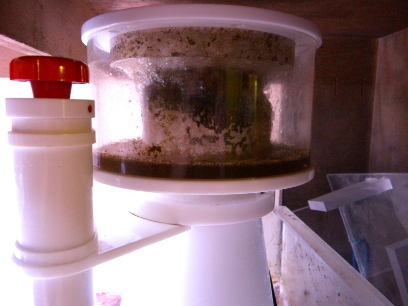 SWC 230 and improved SWC 300A releasing just in time for Winter | Reef ...