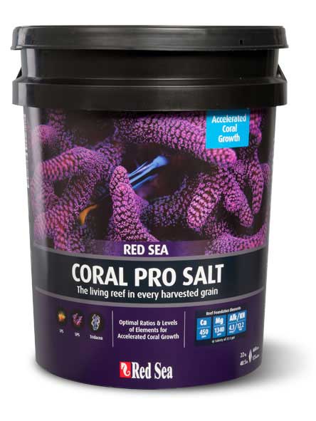 Red Sea Coral Pro salt shipping later this month | Reef Builders | The ...