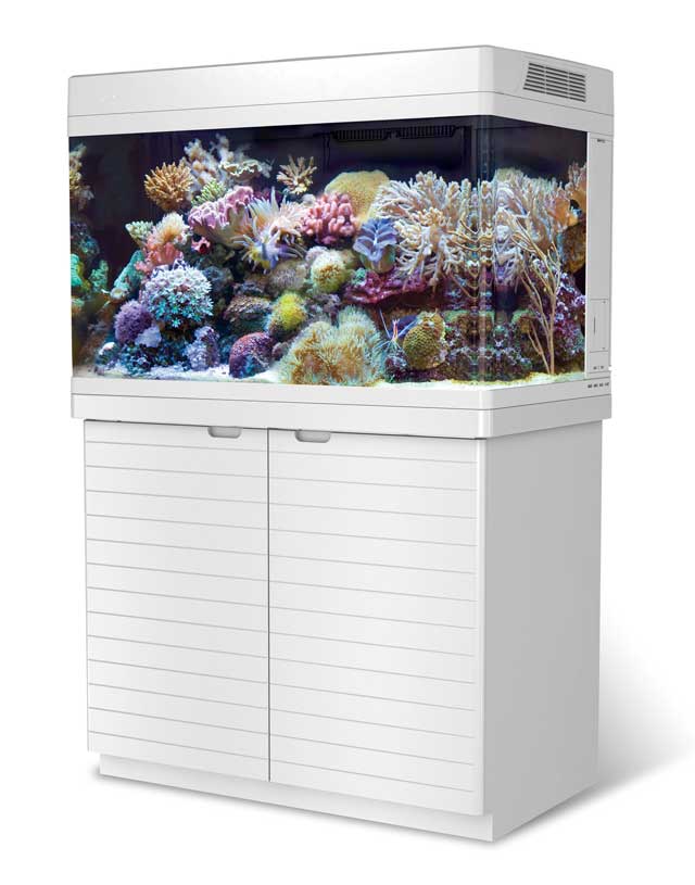 White Red Sea Max 250 shipping to North America | Reef Builders | The ...