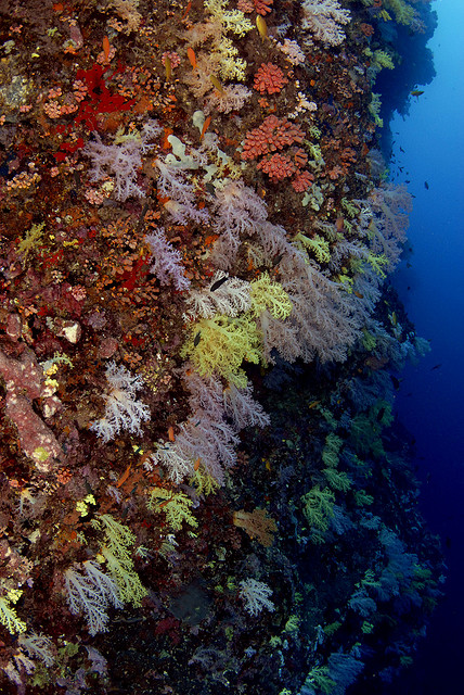 Water flow is one of the biggest factors promoting coastal ocean ...