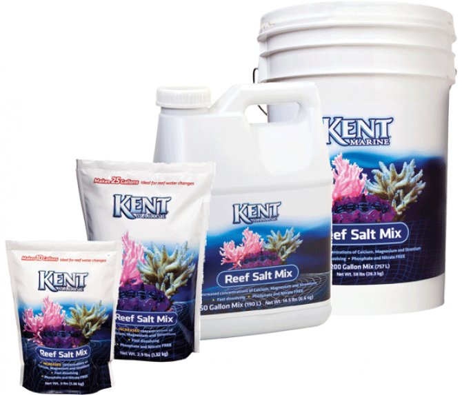 New Kent Marine Reef Salt Mix coming in early 2011 | Reef Builders ...