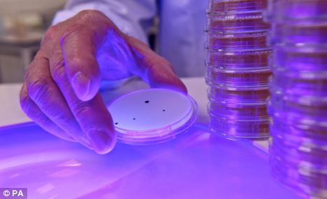 LEDs used to combat bacteria, possible future for aquariums | Reef ...