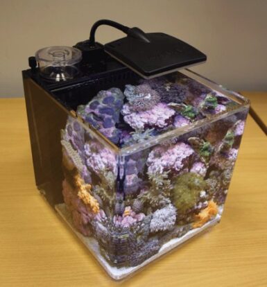 Marine Microhabitat from Tropical Marine Centre is a well specced nano ...