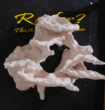 Magnetic ceramic branch rock from The Alternative Reef can support ...