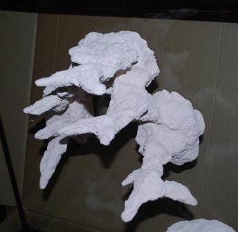 Magnetic ceramic branch rock from The Alternative Reef can support ...