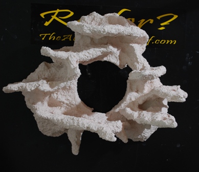 Magnetic ceramic branch rock from The Alternative Reef can support ...