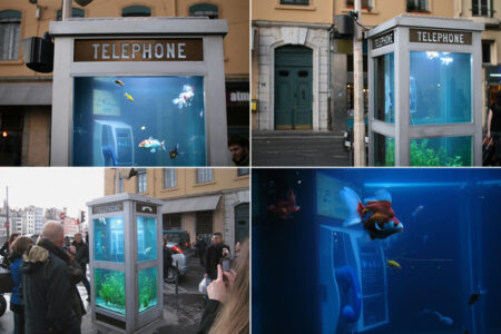 Telephone aquarium booth brings some flair to the urban art scene ...