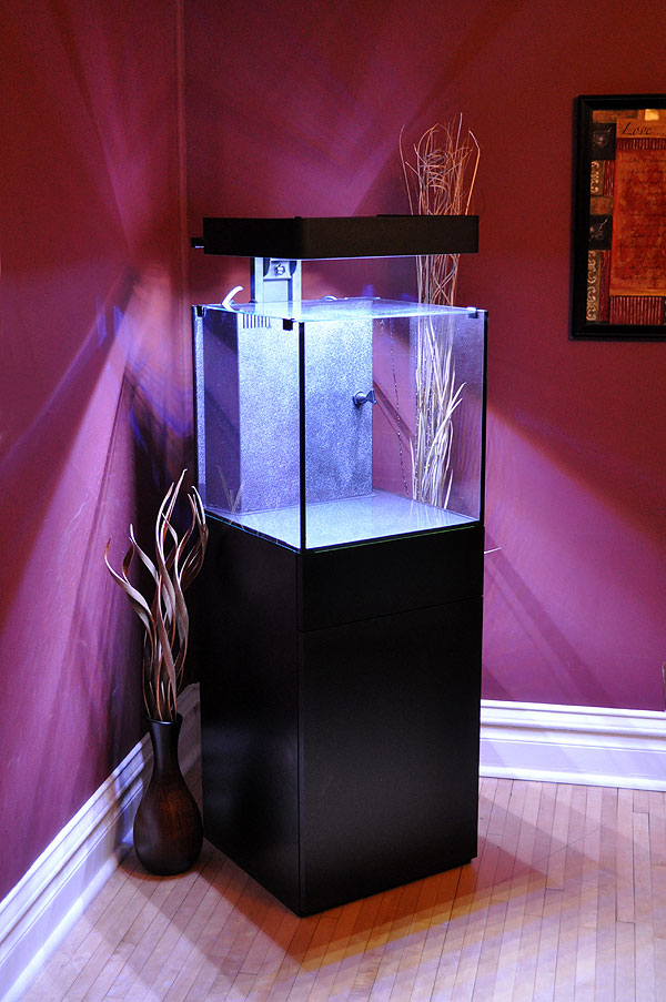 Ecoxotic’s 25 Gallon LED Aquarium — The Stunner Strip and Final ...