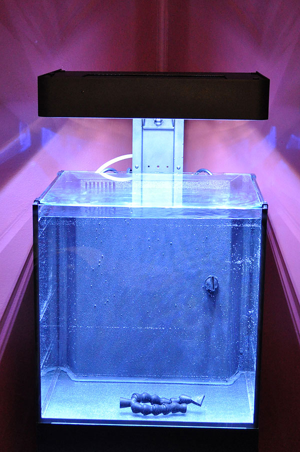 Ecoxotic’s 25 Gallon LED Aquarium — The Panorama fixture | Reef ...