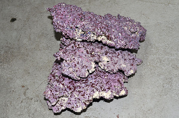 Fish Heads’ Real Reef line adds Shelf and Nano Live Rock! | Reef ...