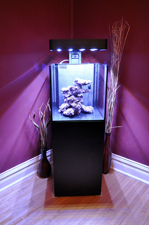 Fish Heads’ Real Reef line adds Shelf and Nano Live Rock! | Reef ...
