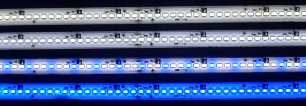 Current-USA TrueLumen Pro LED light coming in four lengths and flavors ...