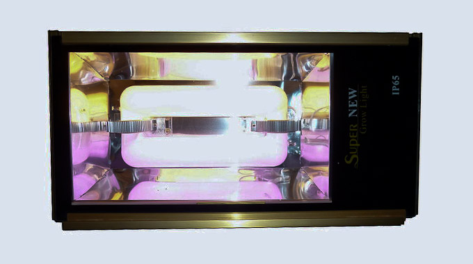 Induction lamps already available in two colors, 50/50 lamps probably ...