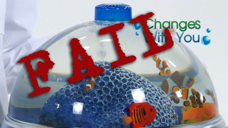 BioBubble habitat is neat but not suitable for most marine fish | Reef ...