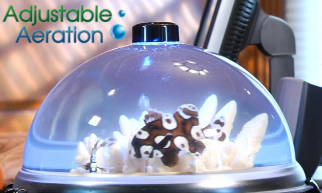 BioBubble habitat is neat but not suitable for most marine fish | Reef ...