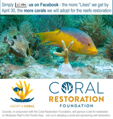 Ecoxotic celebrates Earth Day by sponsoring the Coral Restoration ...
